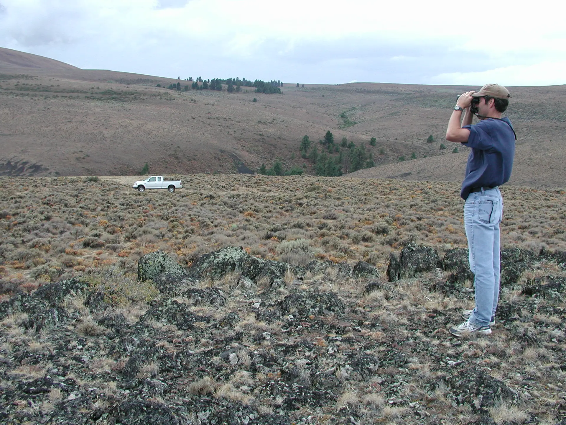 Message from the CEO - Western EcoSystems Technology, Inc.