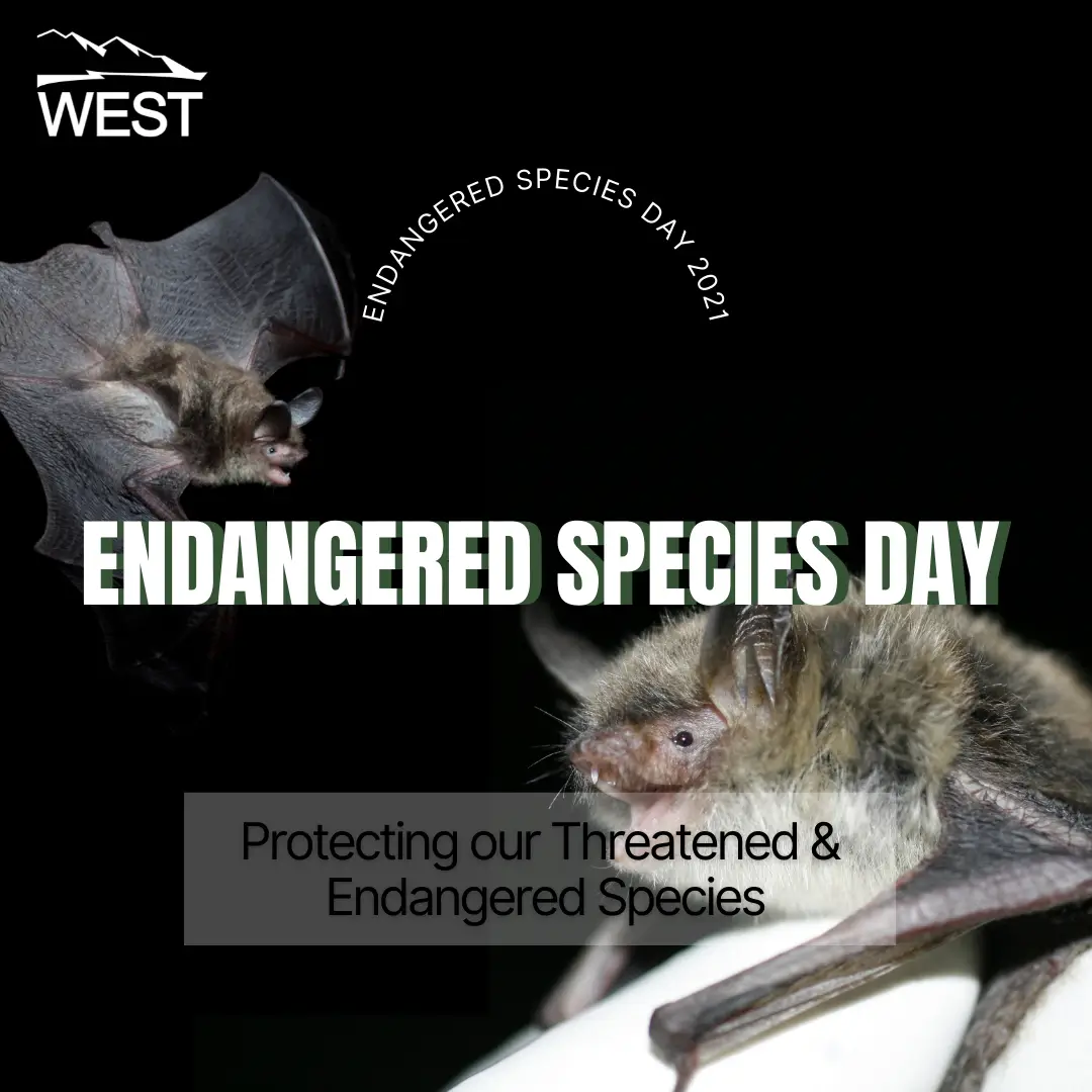 WEST Celebrates Endangered Species Day - Western EcoSystems Technology ...