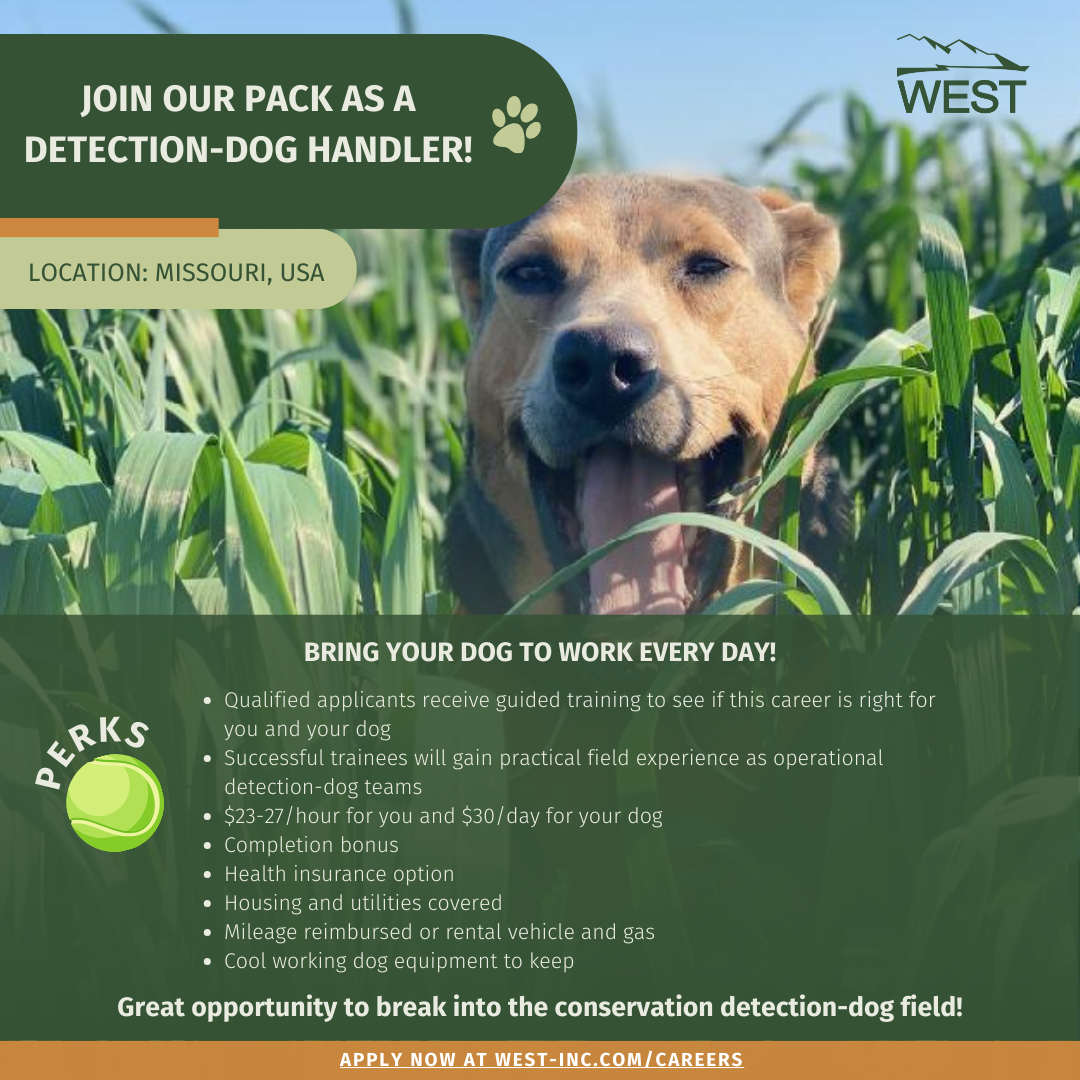 WEST is Hiring! Detection-Dog Handler - Western EcoSystems Technology, Inc.