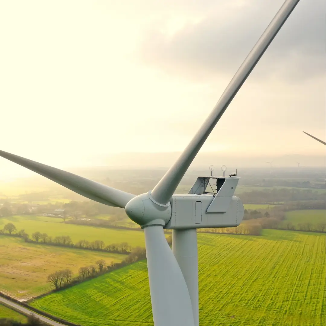 Assessing Impacts of Wind-Energy Development on Nocturnally Active ...