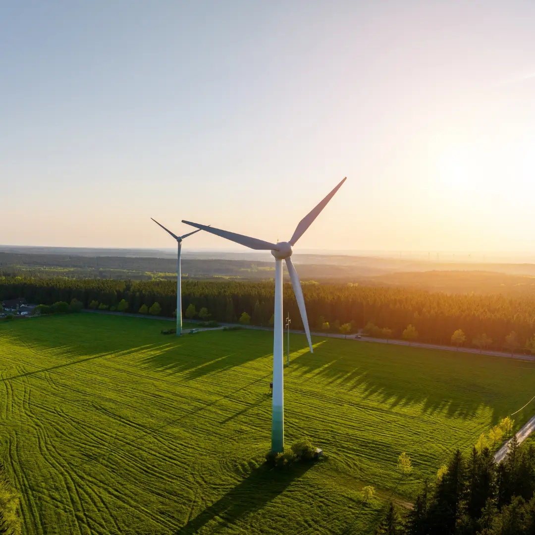 Avian Collisions with Wind Turbines: A Summary of Existing Studies and ...