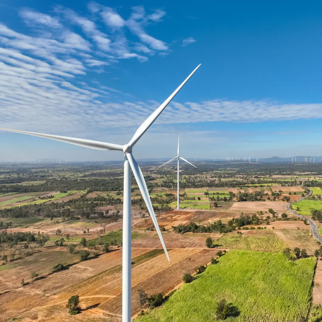Patterns of Bat Fatalities at Wind Energy Facilities in North America ...