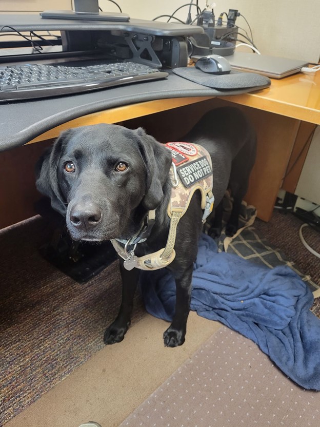 WEST Celebrates National Service Dog Month - Western EcoSystems ...