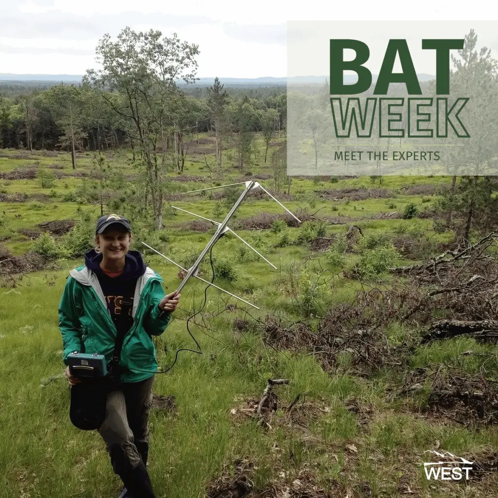Bat Week | Meet the Experts | Brenna Hyzy - Western EcoSystems Technology, Inc.