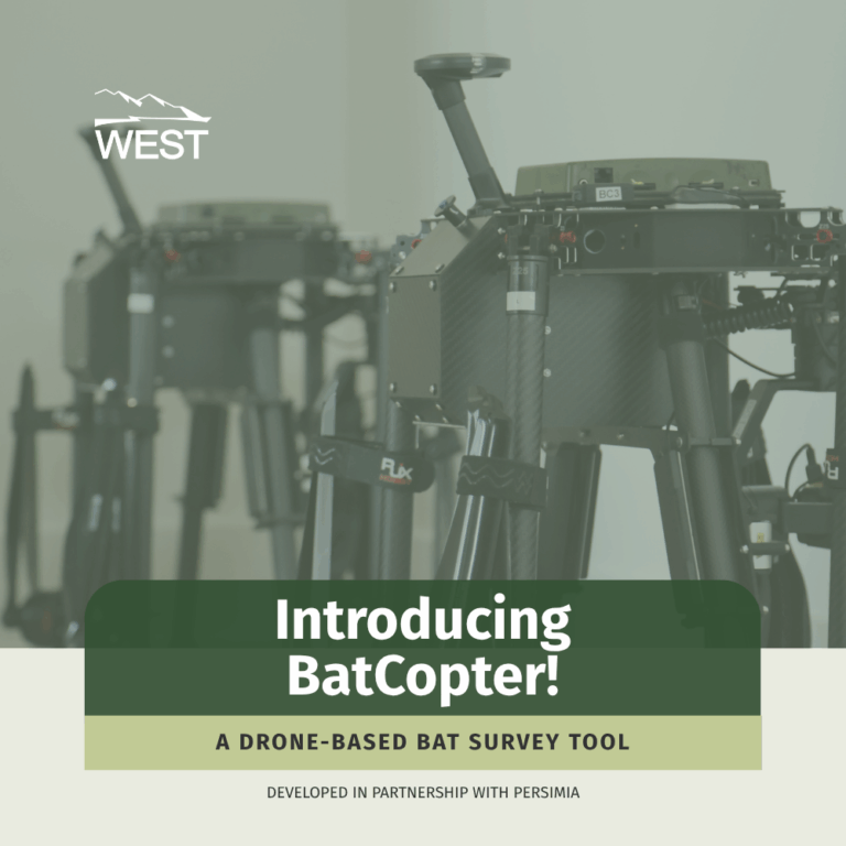 Introducing BatCopter: A Drone-based Bat Survey Tool - Western ...
